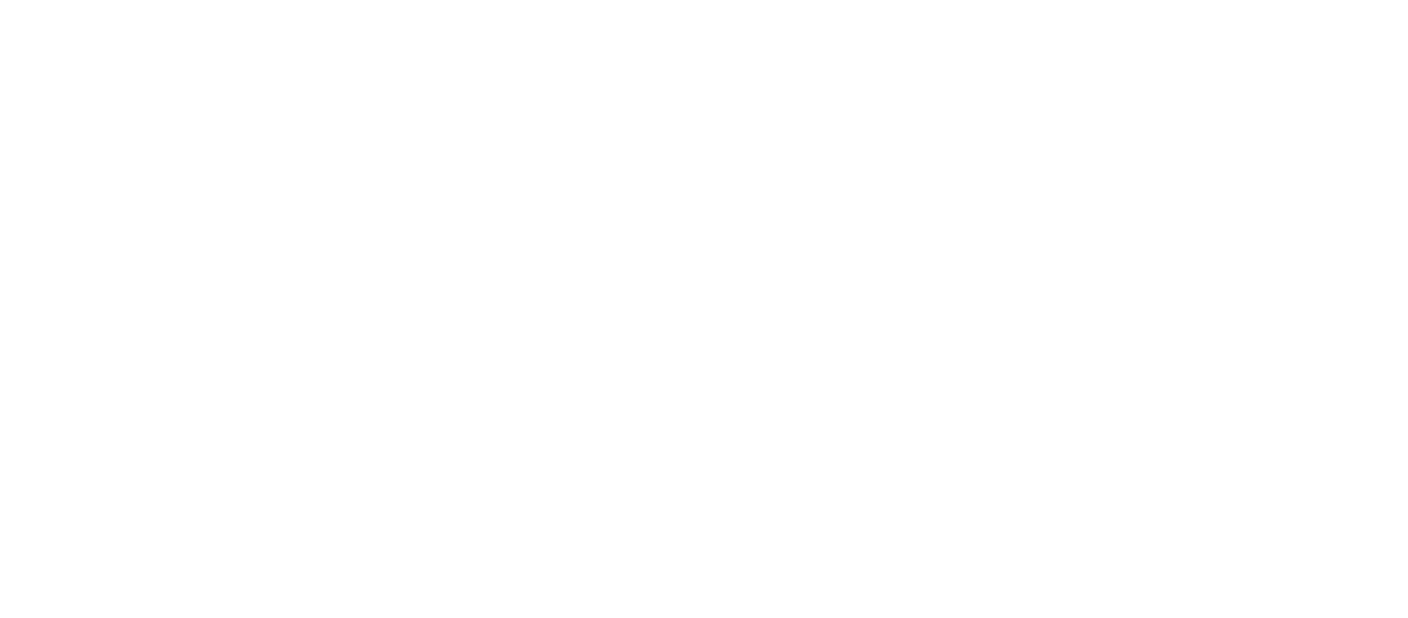 Davidson Holding Company